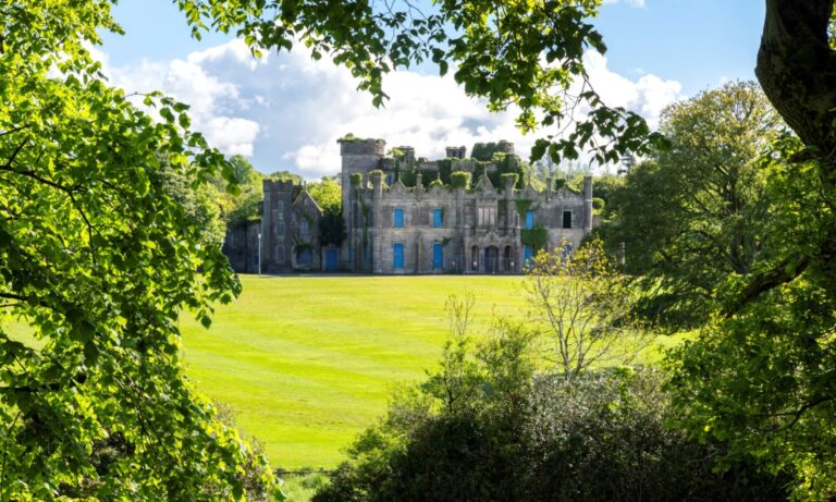 CASTLE IRVINE ESTATE – Necarne Demesne